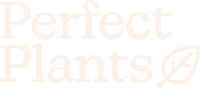 Perfect Plants | Indoor and Outdoor Plants delivered Nationwide